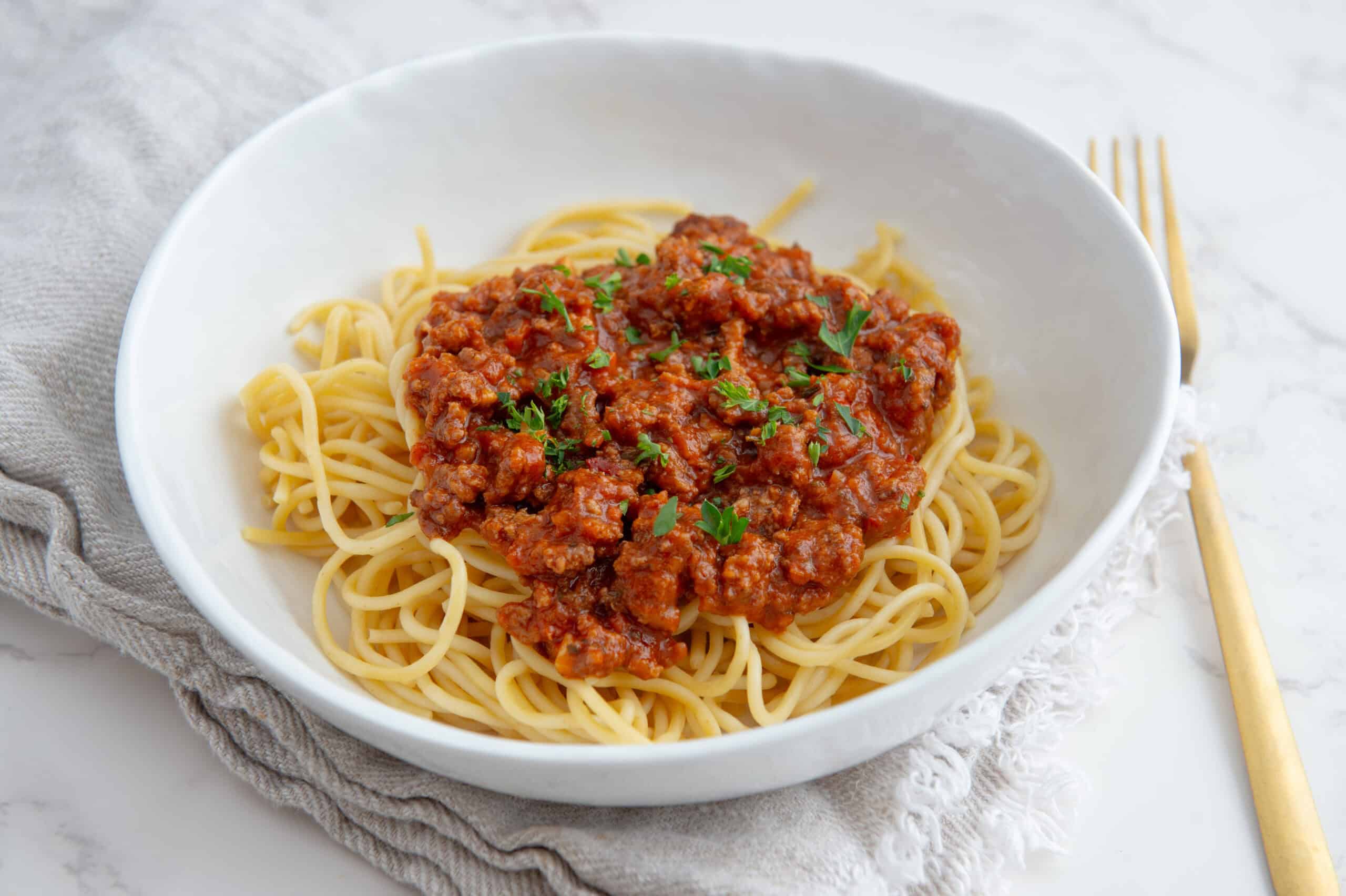 Momma's Favorite Spaghetti - Big Recipe